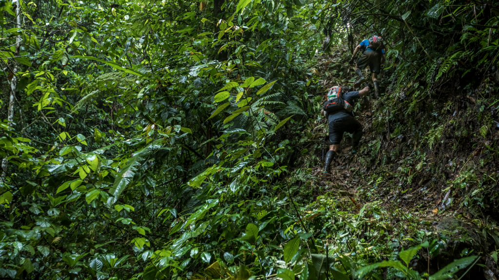 Jungle Ultra 2016 Race Report - Stage Four - Beyond the Ultimate