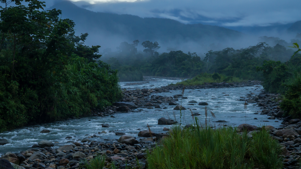 Jungle Ultra 2015 Race Report - Stage Five - Beyond the Ultimate
